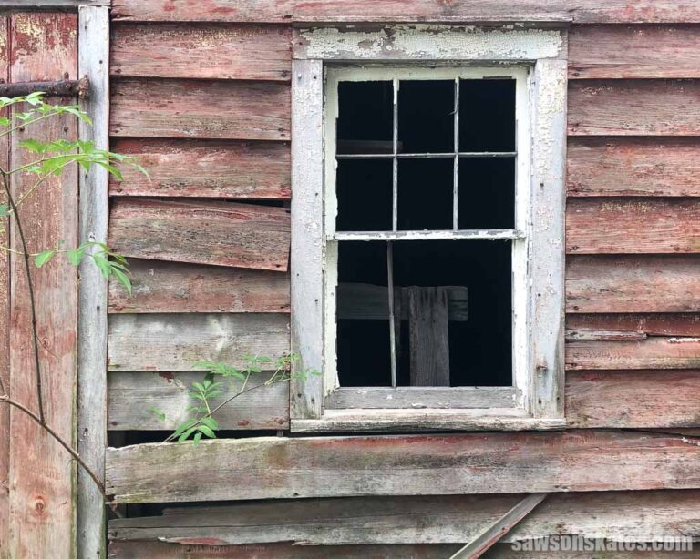 14 Ways to Score Free Wood (Build Even if You're Broke!) | Saws on Skates®
