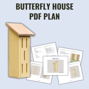 DIY Butterfly House Plans (Easy + Charming) | Saws on Skates®