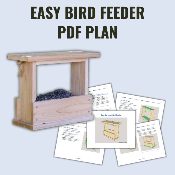 DIY Bird Feeder Plans (Easy for Kids + Adults) | Saws on Skates®